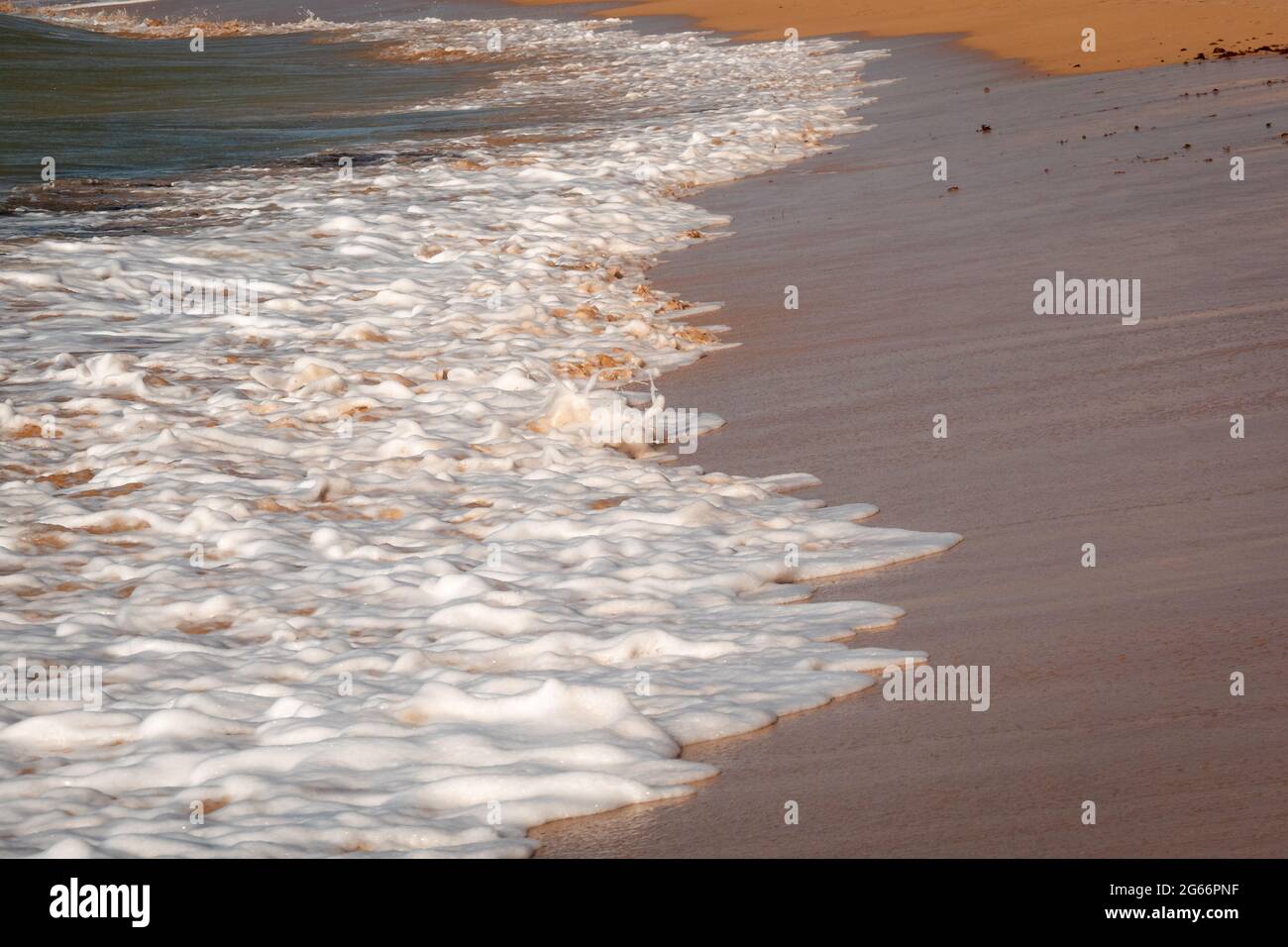 White Spume Known as Sea, Ocean or Beach Foam Created by the Agitation ...