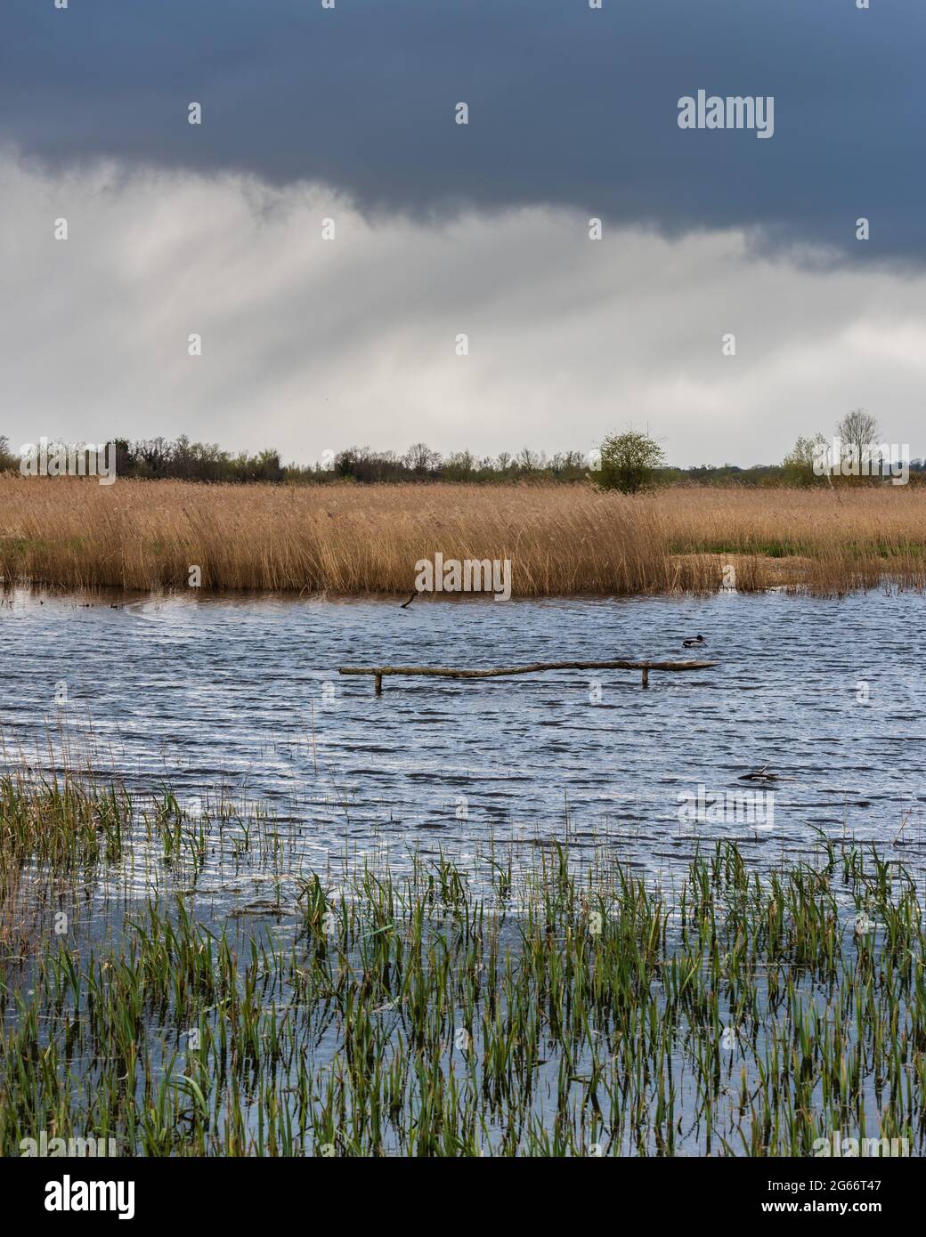 Stumpshaw fen hi-res stock photography and images - Alamy