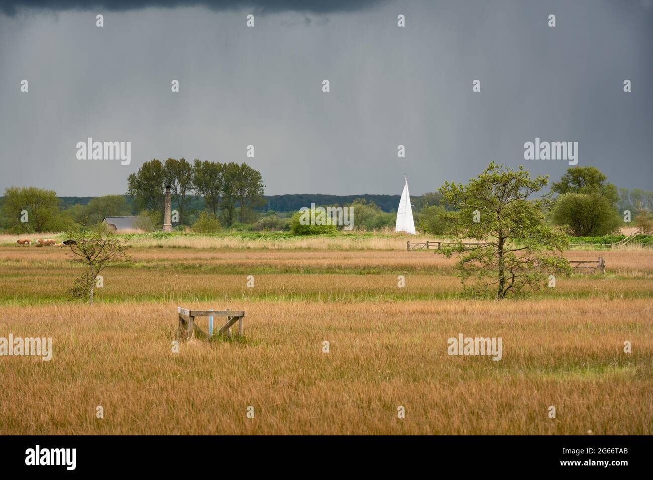Sailboat in Norfolk Broads marshland, rainy skies. Strumpshaw Fen RSPB ...