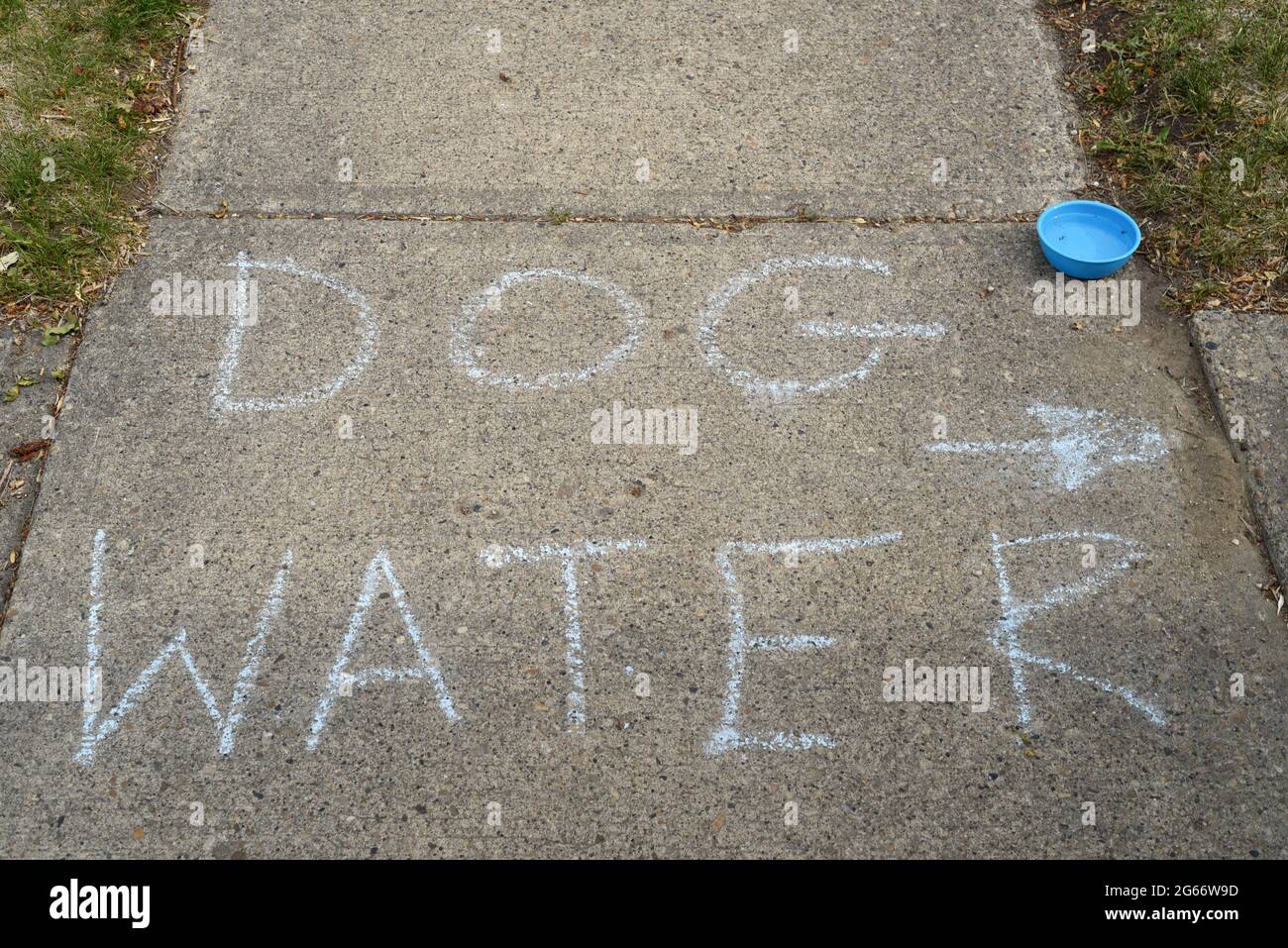 How Hot Is The Sidewalk For Dogs