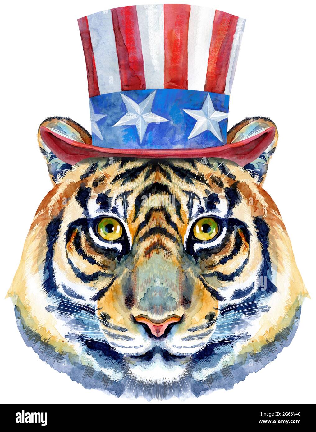 Watercolor cat face hi-res stock photography and images - Alamy