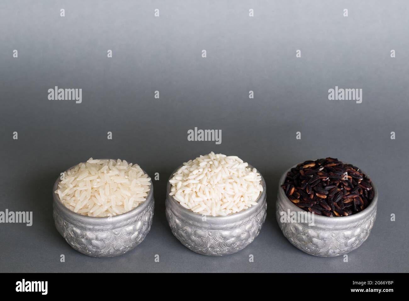 Jasmine plant in a container hi-res stock photography and images - Alamy