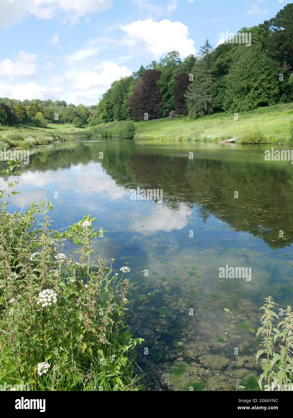 Cricket St Thomas, Somerset, England Stock Photo - Alamy