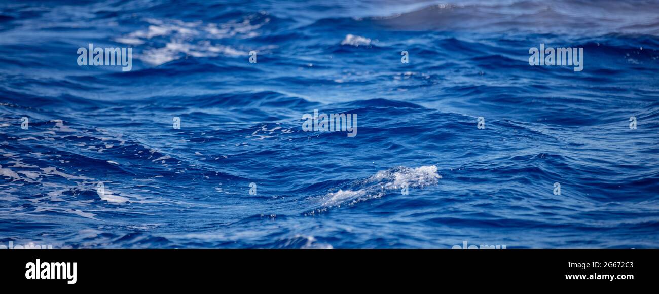 Deep blue ocean water surface panorama. Rippled wavy sea, small waves ...