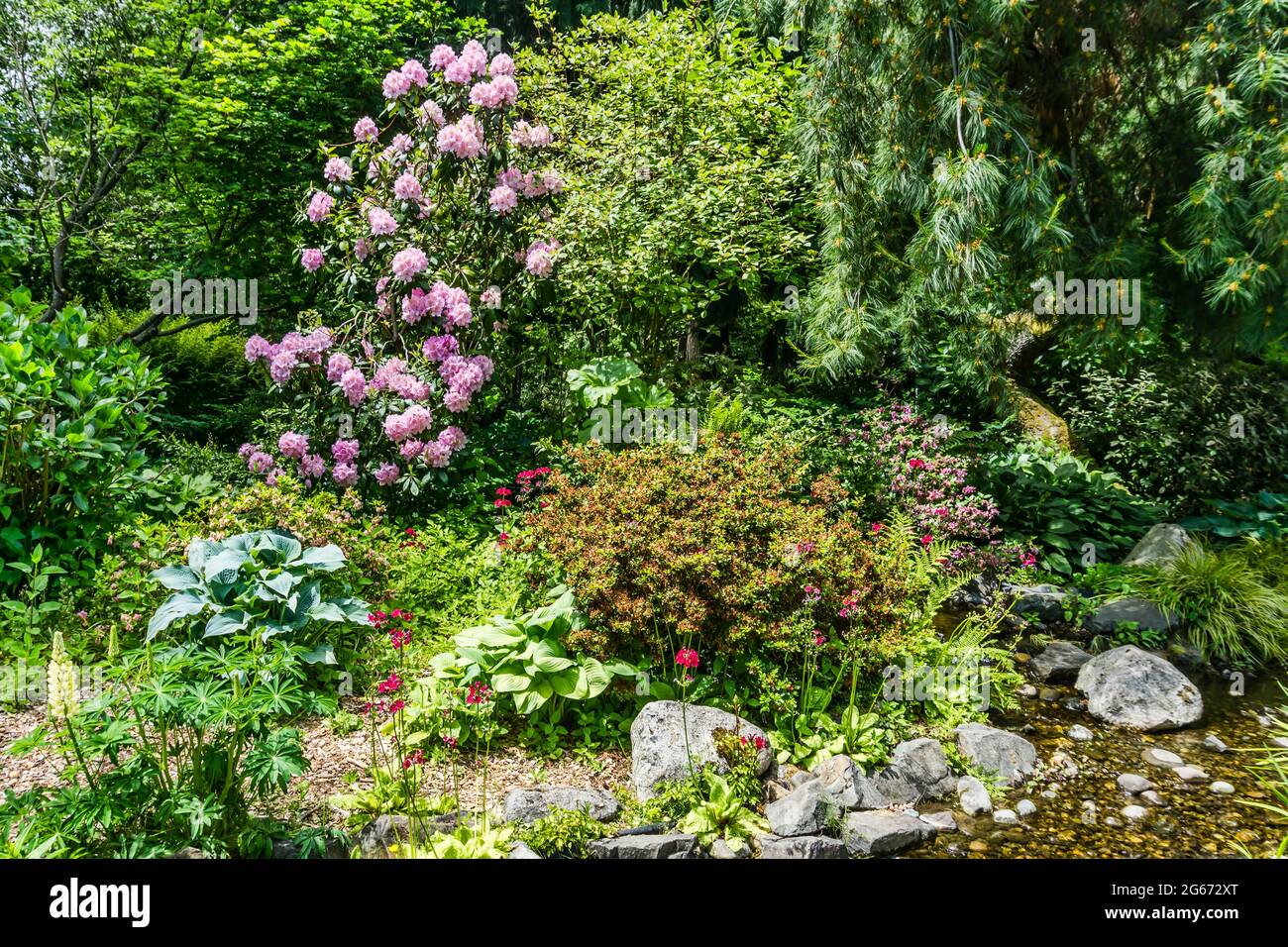 Spring flowers and stream at a garden in Seatac, Washington Stock Photo ...