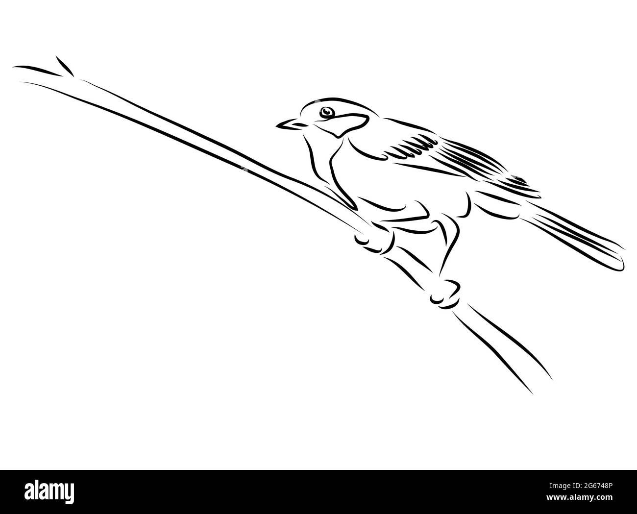 Digital art of black and white bird abstract painting is isolated on ...