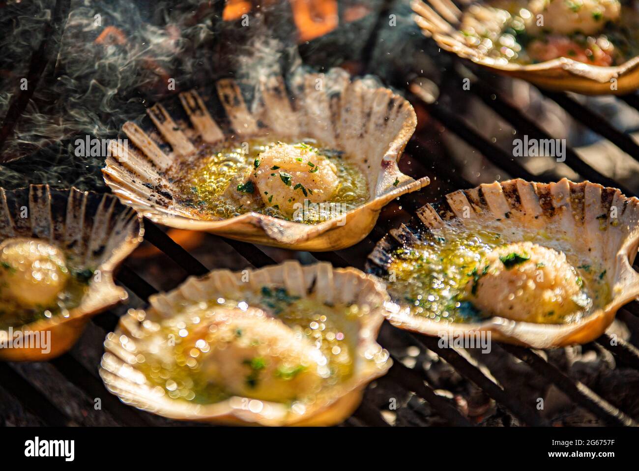 Detail of tasty Scallops on the grill with smoke, cooking scallops ...