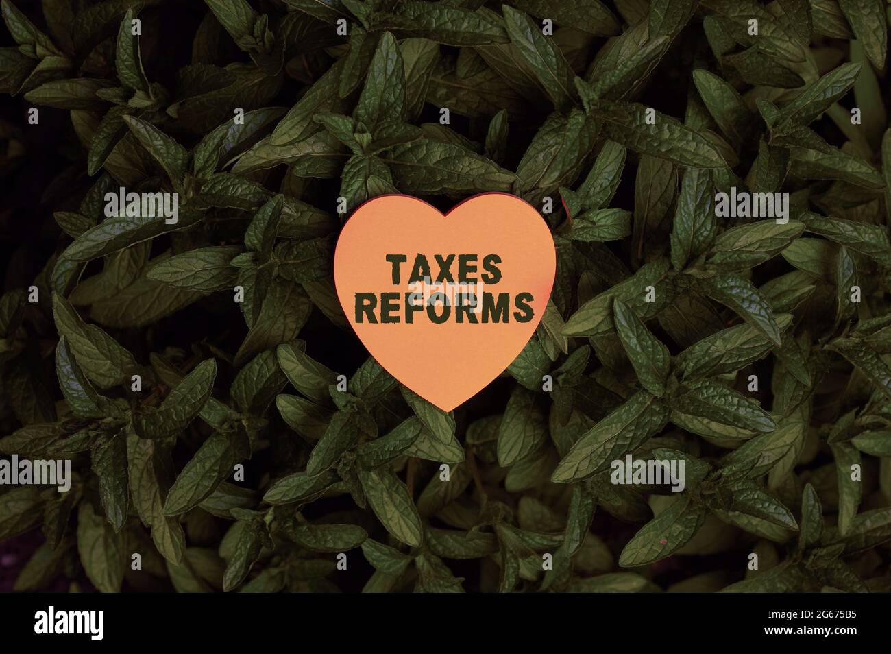 Writing displaying text Taxes Reforms. Business approach managing ... Writing displaying text Taxes Reforms. Business approach managing ...