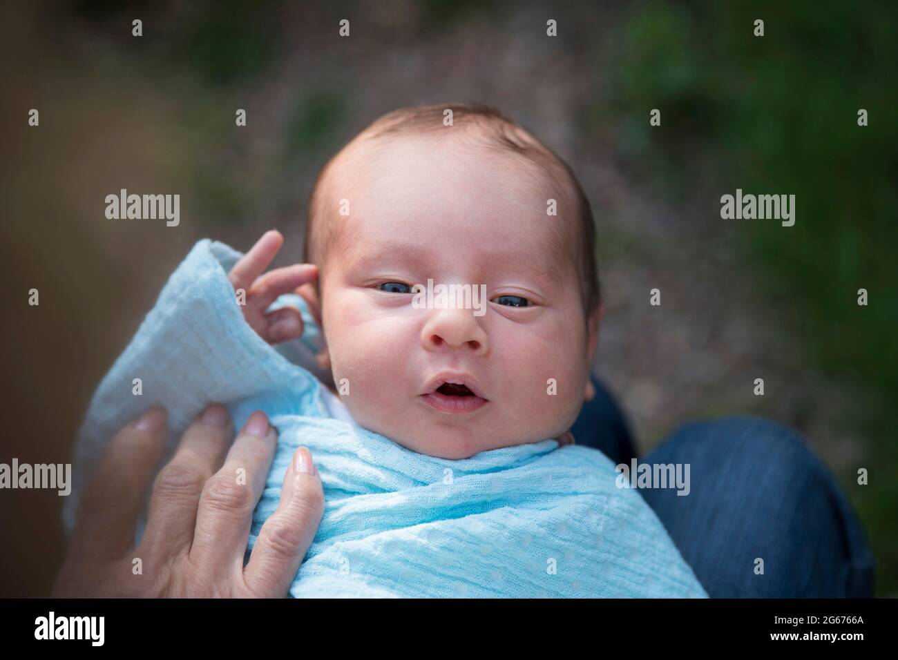 Portrait of a few weeks old baby Stock Photo - Alamy Portrait of a few weeks old baby Stock Photo - Alamy