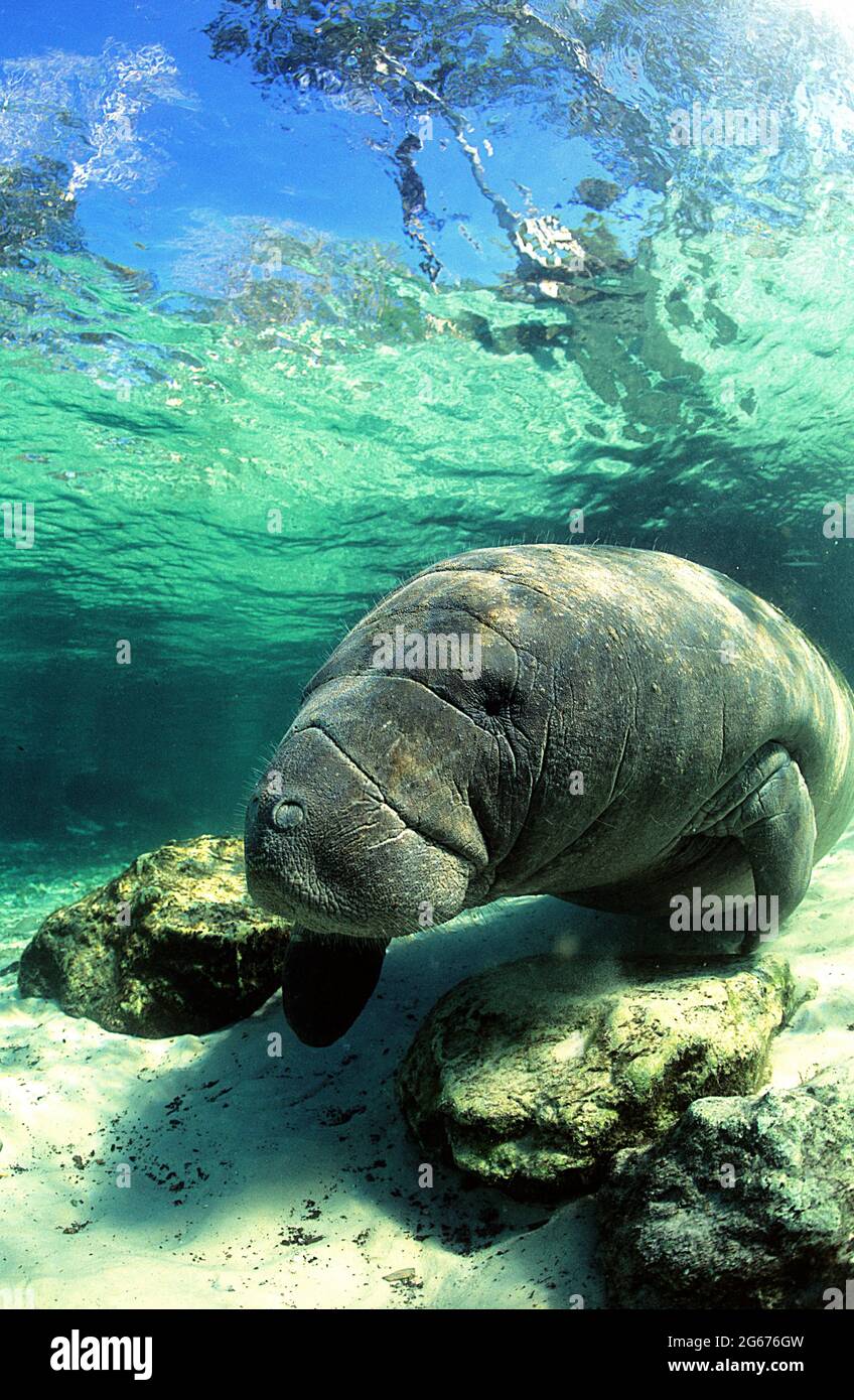 Indian weekend places hi-res stock photography and images - Alamy