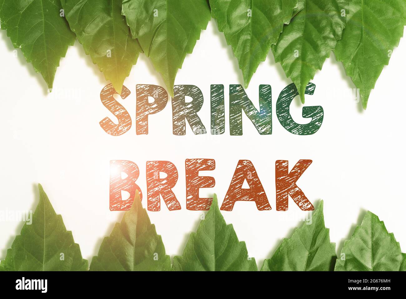 Sign displaying Spring Break. Word Written on Vacation period at school ...