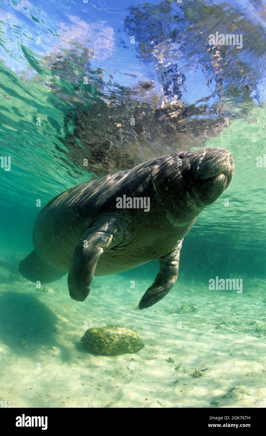 Indian weekend places hi-res stock photography and images - Alamy