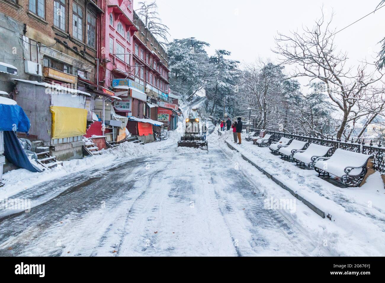 Latest views of Snowfall in Shimla Stock Photo - Alamy
