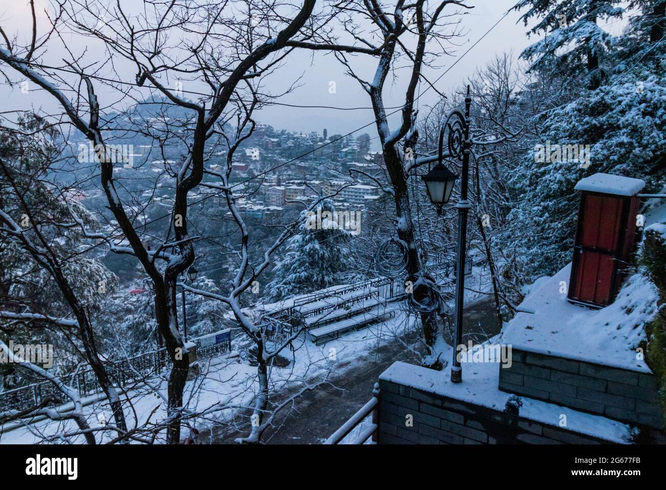 Latest views of Snowfall in Shimla Stock Photo - Alamy