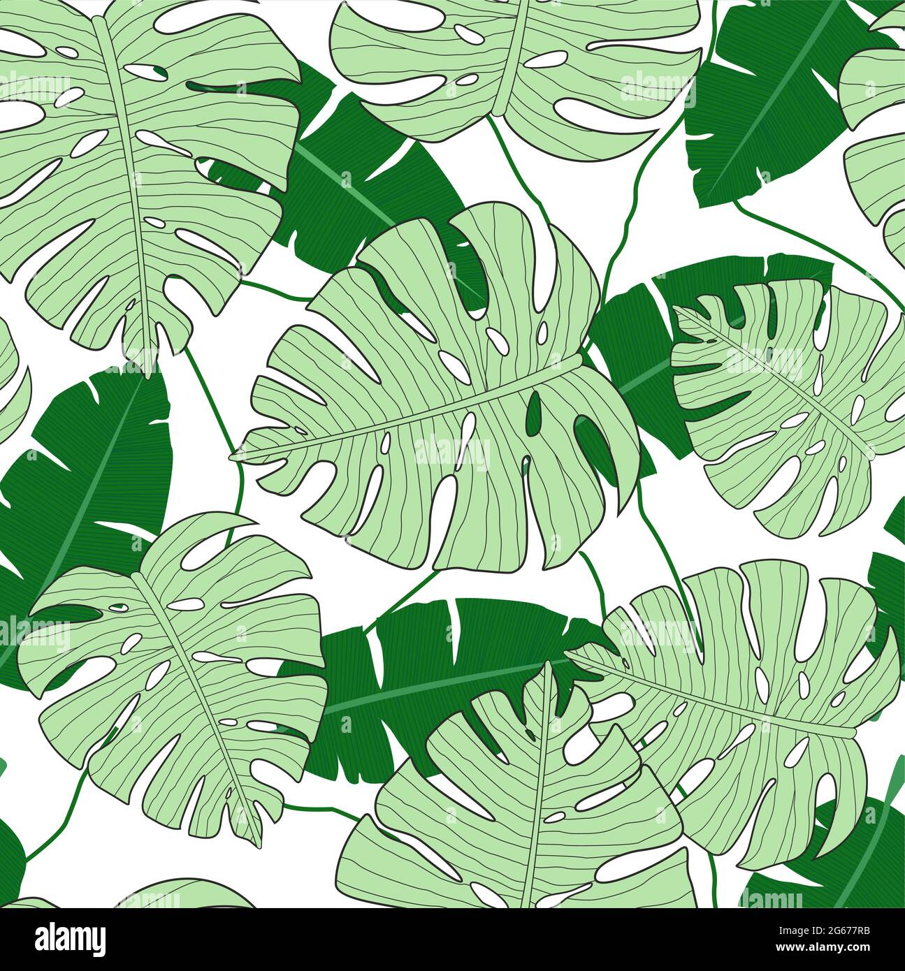 Tree Leaves Texture Seamless