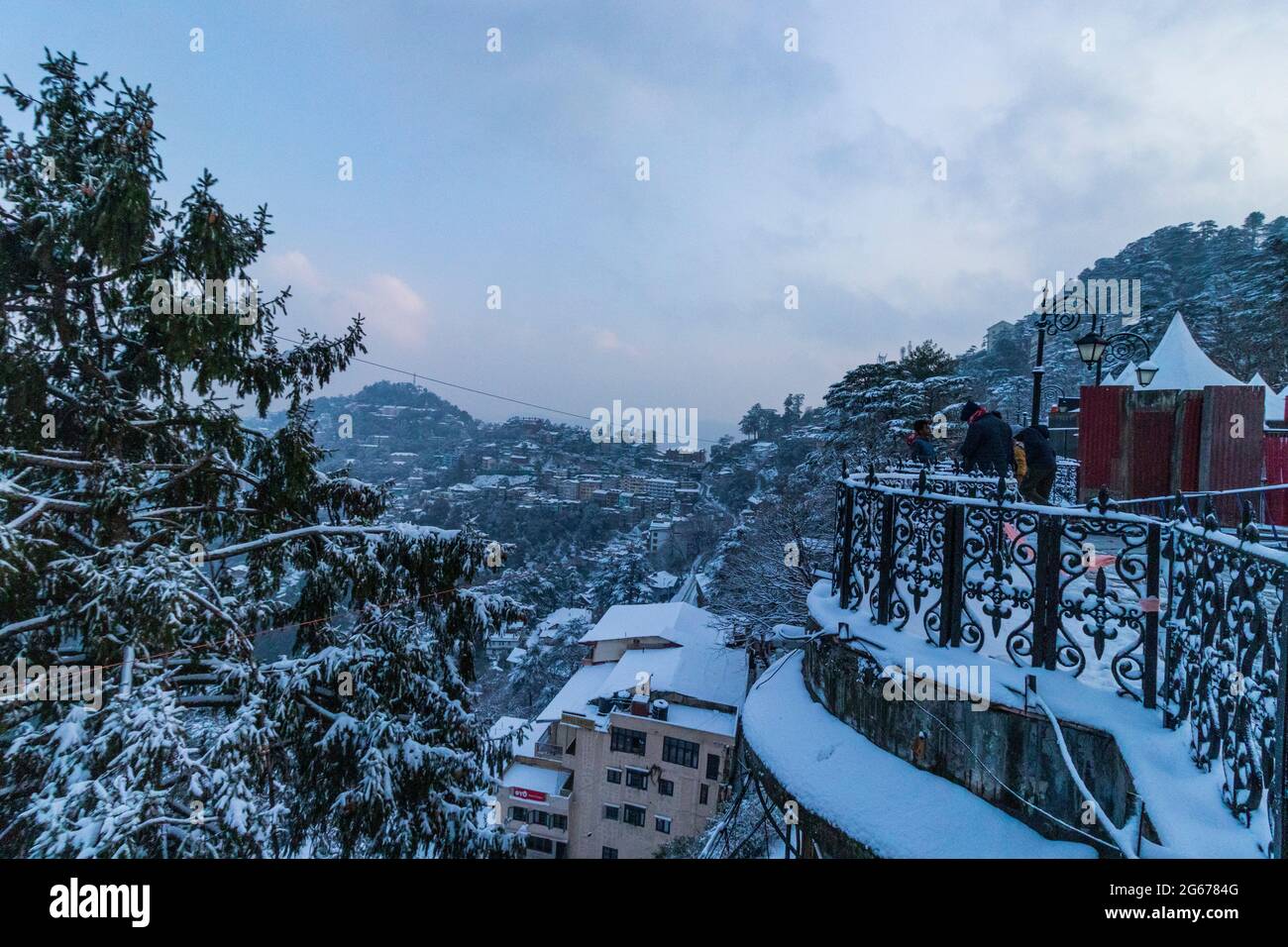 Latest views of Snowfall in Shimla Stock Photo - Alamy