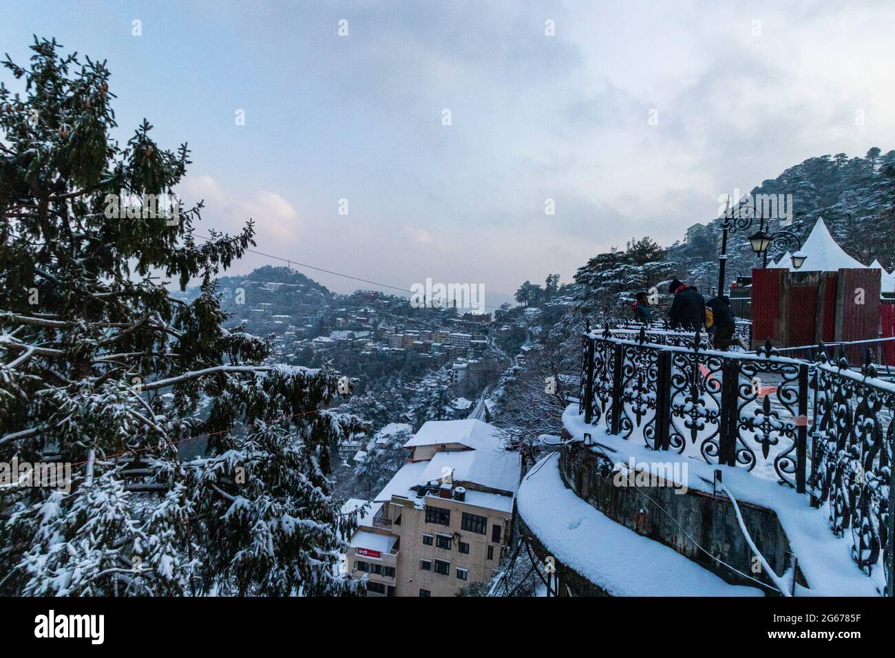 Latest views of Snowfall in Shimla Stock Photo - Alamy