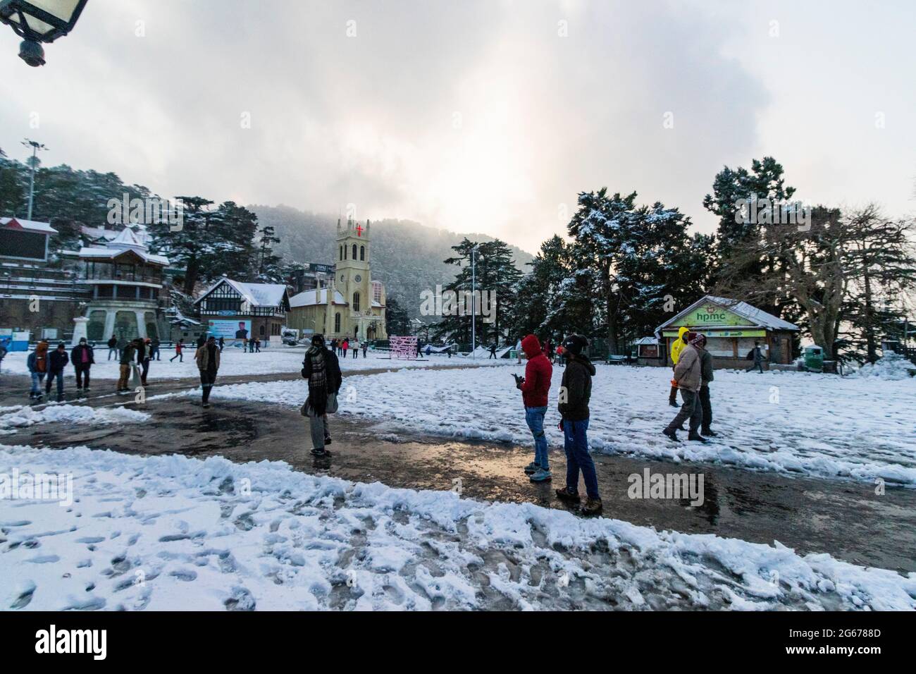 Latest views of Snowfall in Shimla Stock Photo - Alamy