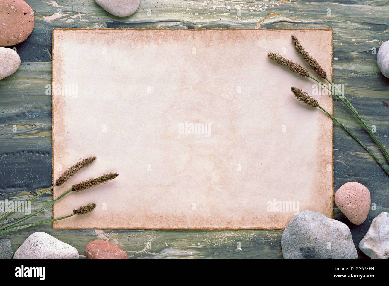 Minimal mockup, aged parchment with copy-space, wild grass and natural ...