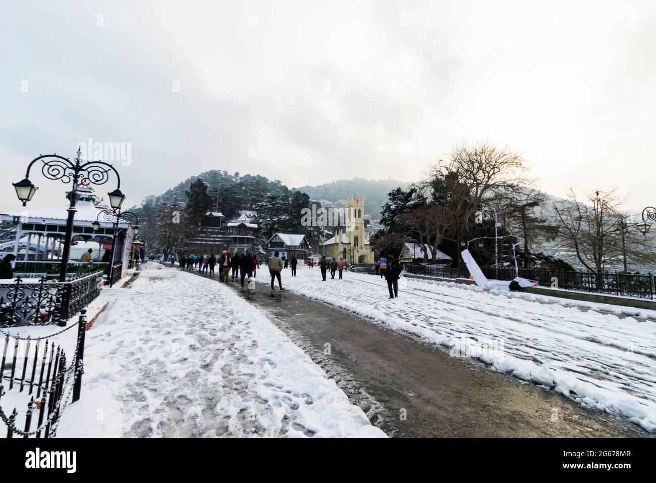 Latest views of Snowfall in Shimla Stock Photo - Alamy