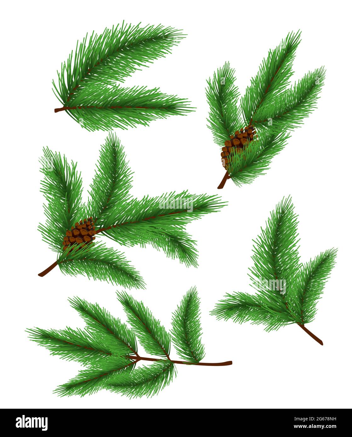 Fir sprig Stock Vector Images - Alamy