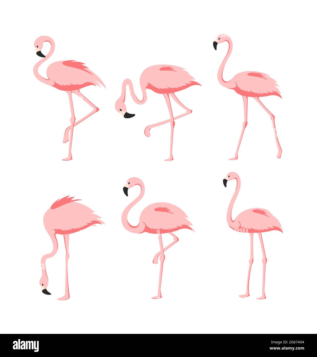 Wild tropical beach foot Cut Out Stock Images & Pictures - Alamy