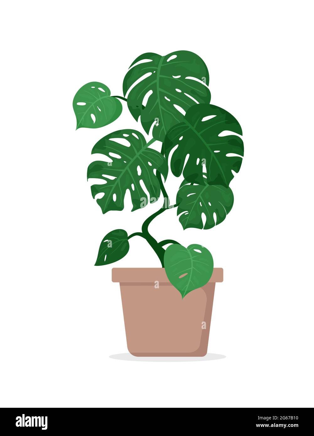 Tropical plant illustration vector hi-res stock photography and images ...