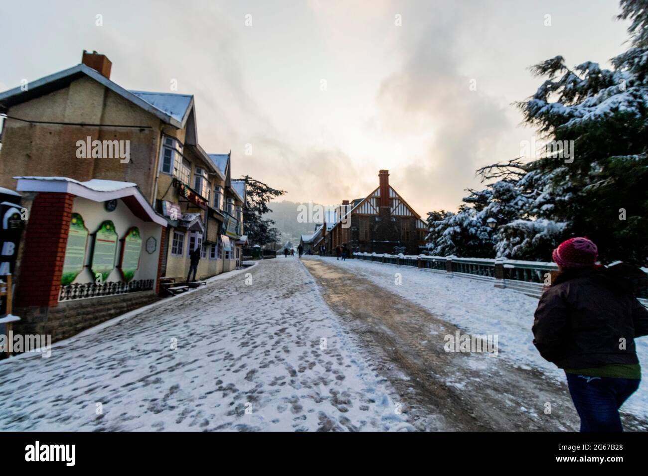Latest views of Snowfall in Shimla Stock Photo - Alamy