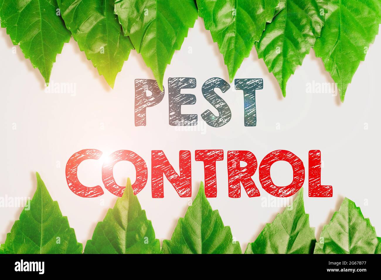 Text caption presenting Pest Control. Business idea Killing destructive ...