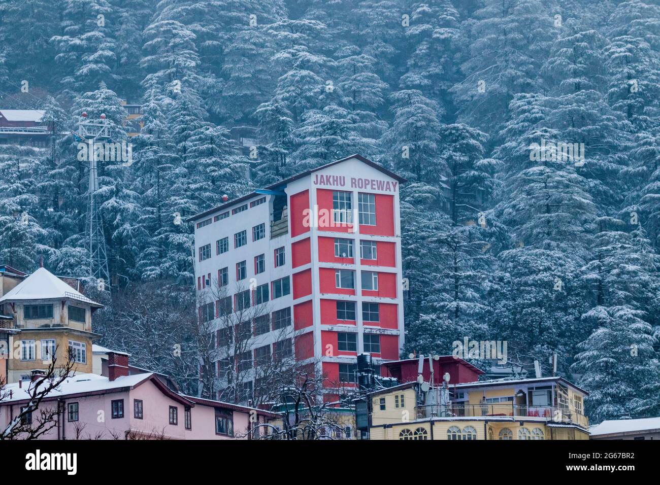 Latest views of Snowfall in Shimla Stock Photo - Alamy