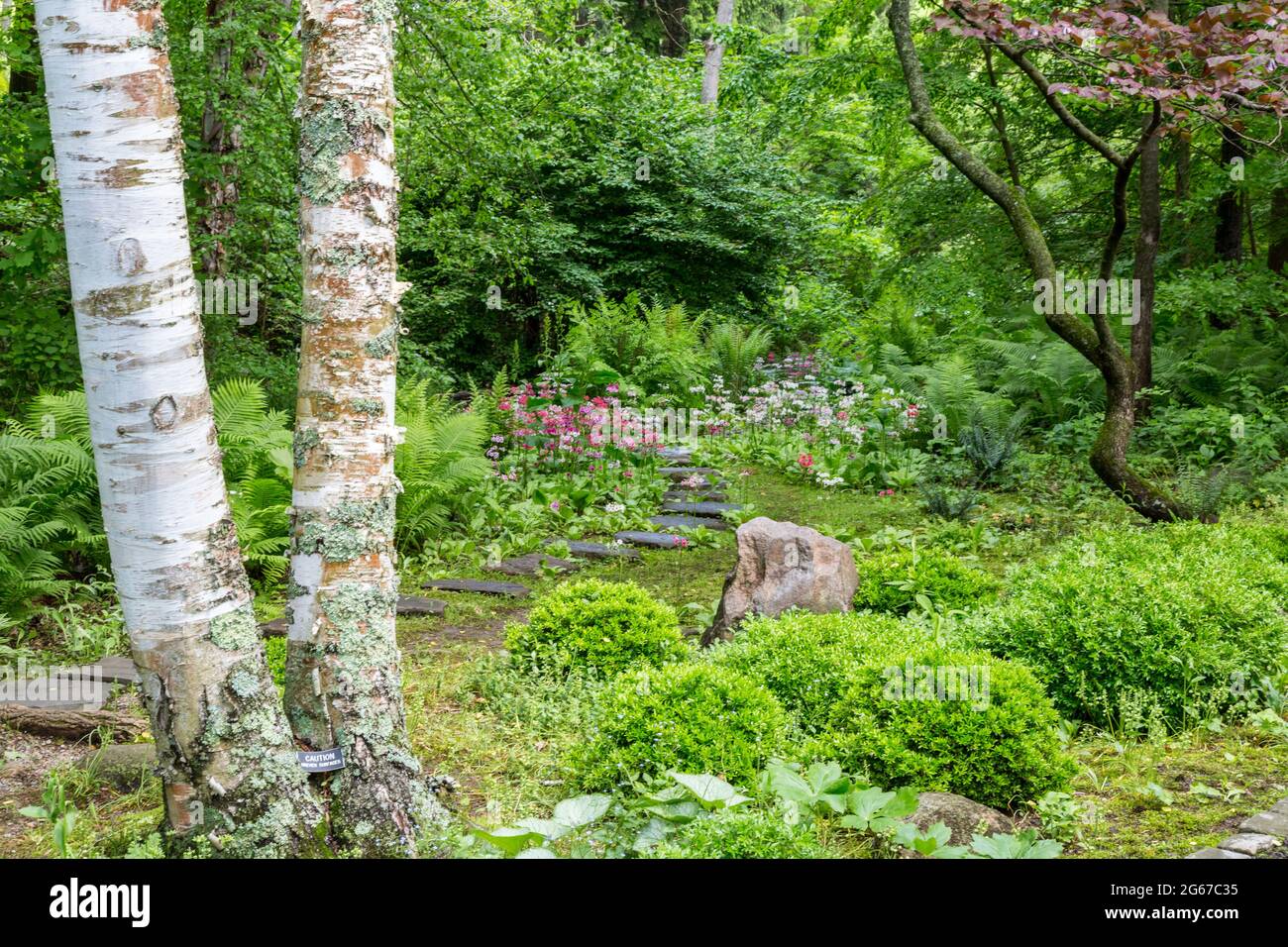 Pennsylvania trees hi-res stock photography and images - Alamy