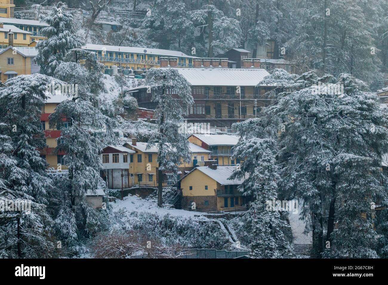 Latest views of Snowfall in Shimla Stock Photo - Alamy