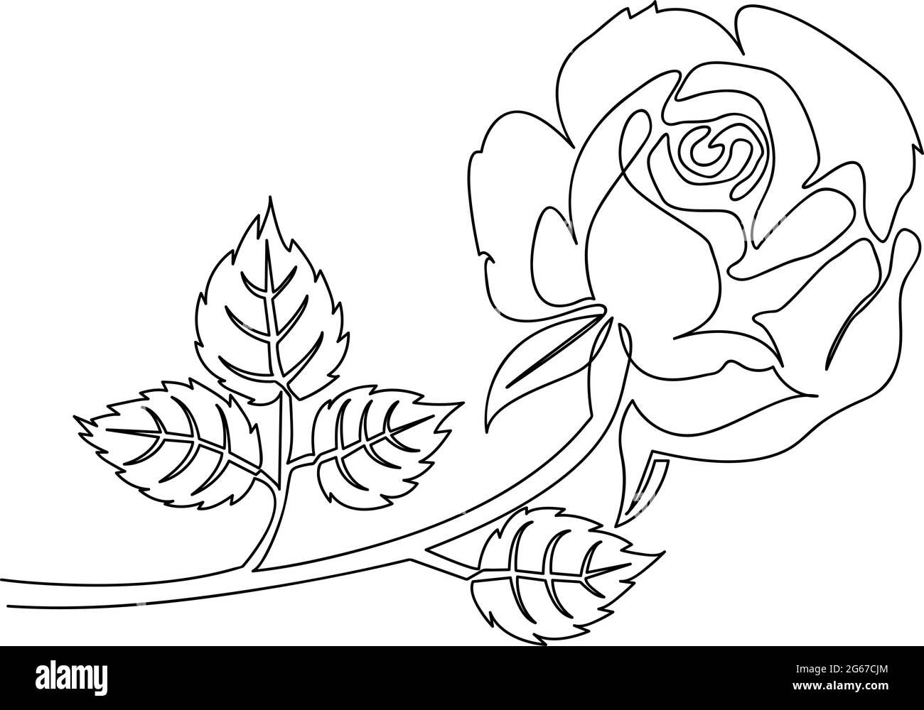 Flower continuous line Stock Vector Images - Alamy