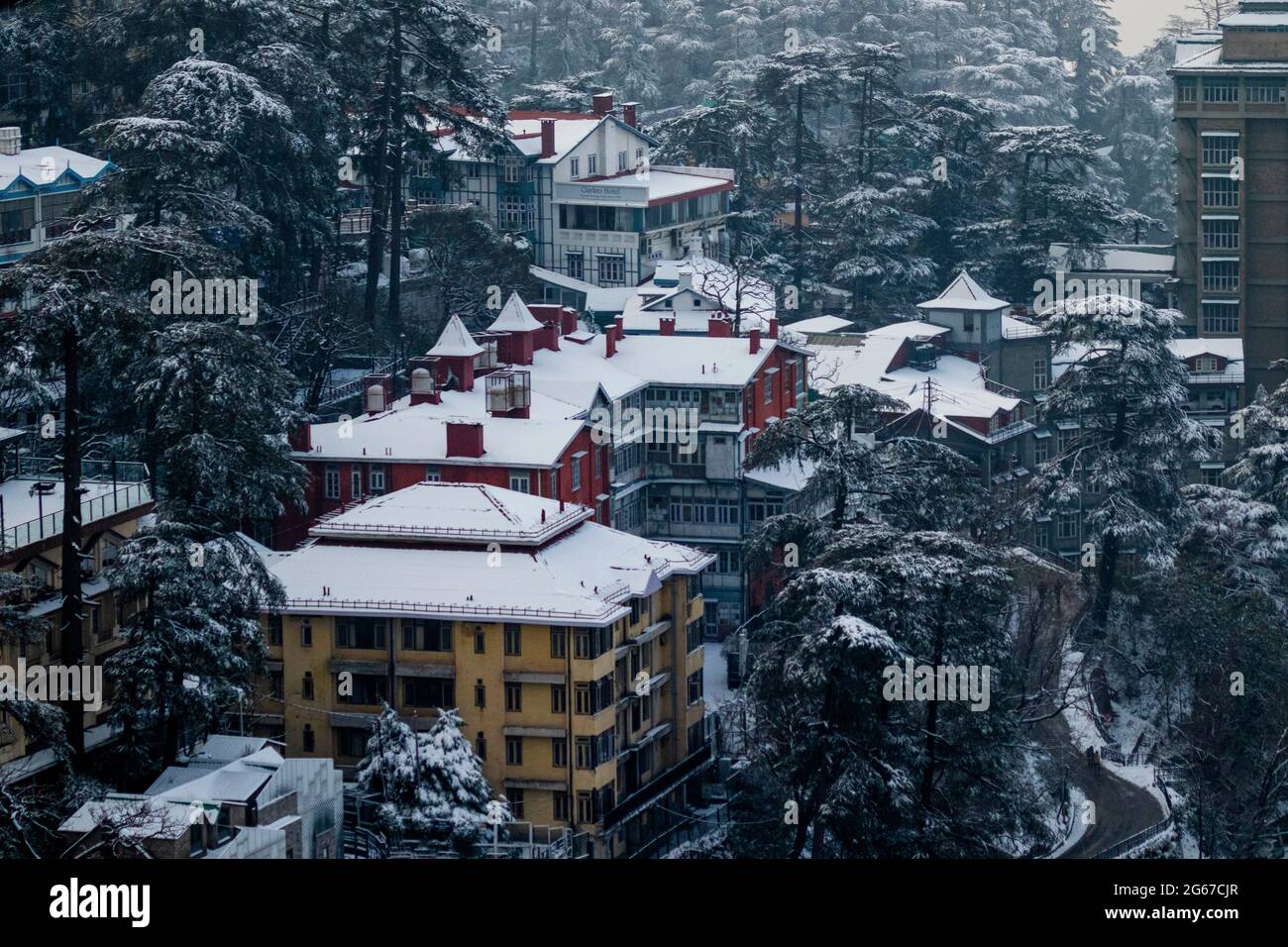 Latest views of Snowfall in Shimla Stock Photo - Alamy