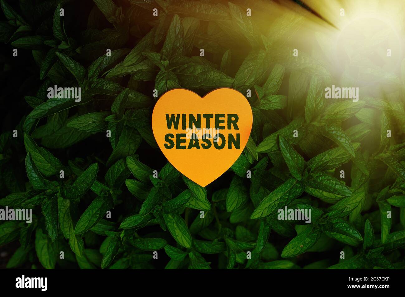 Hand writing sign Winter Season. Word Written on coldest season of the ...