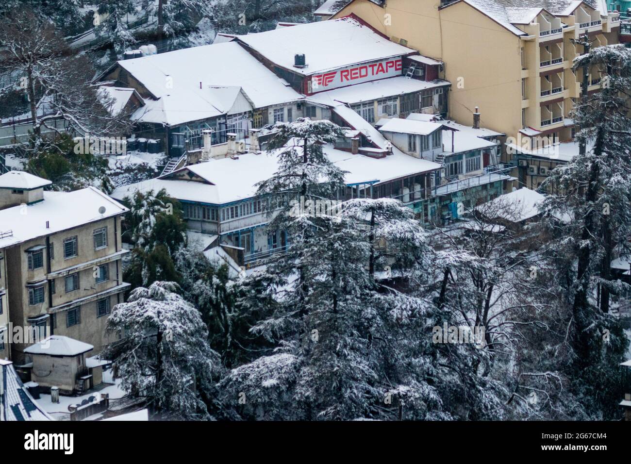 Latest views of Snowfall in Shimla Stock Photo - Alamy