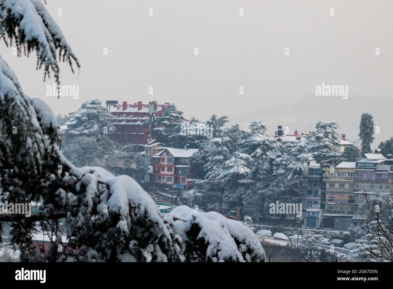 Latest views of Snowfall in Shimla Stock Photo - Alamy