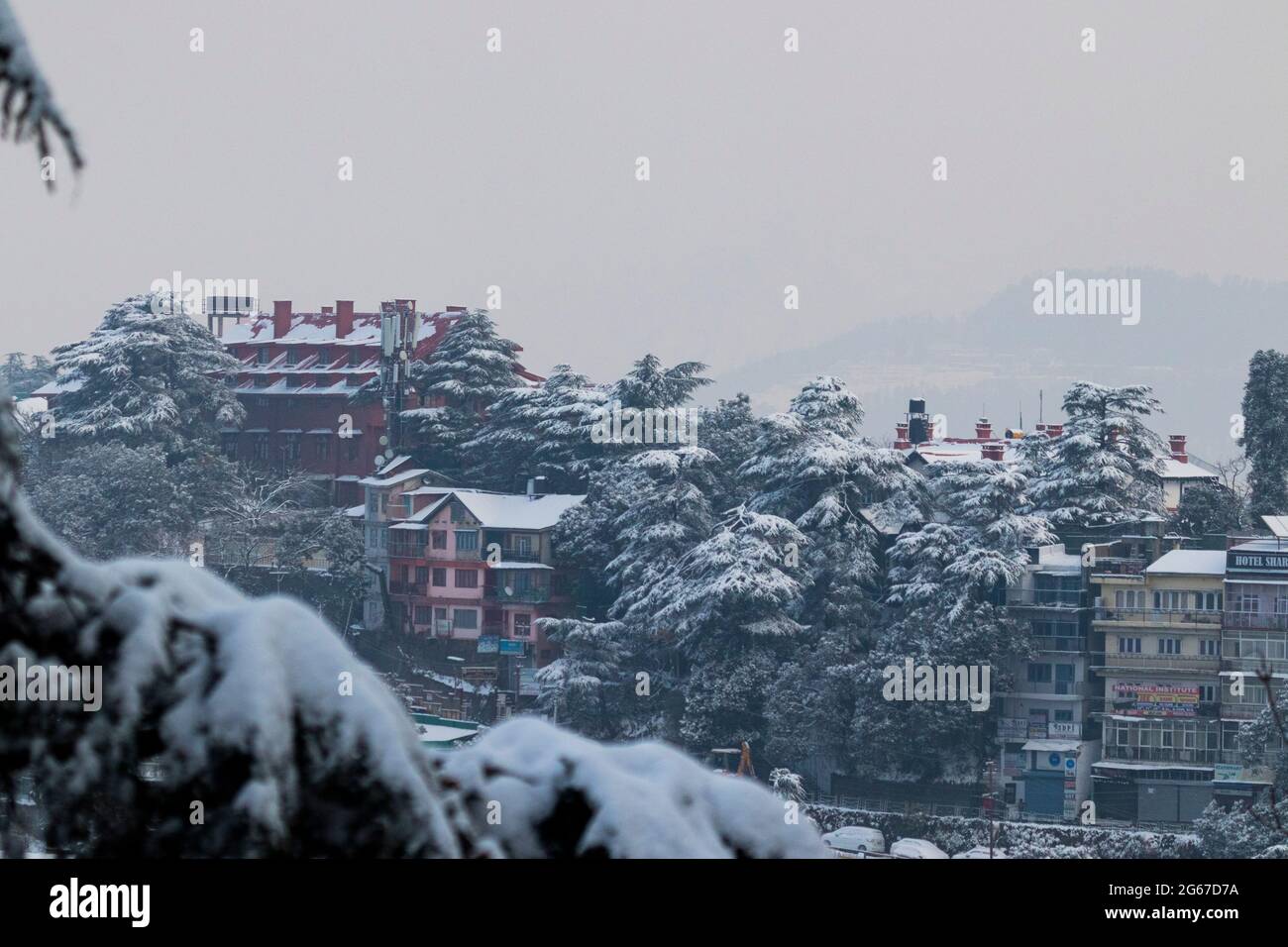 Latest views of Snowfall in Shimla Stock Photo - Alamy