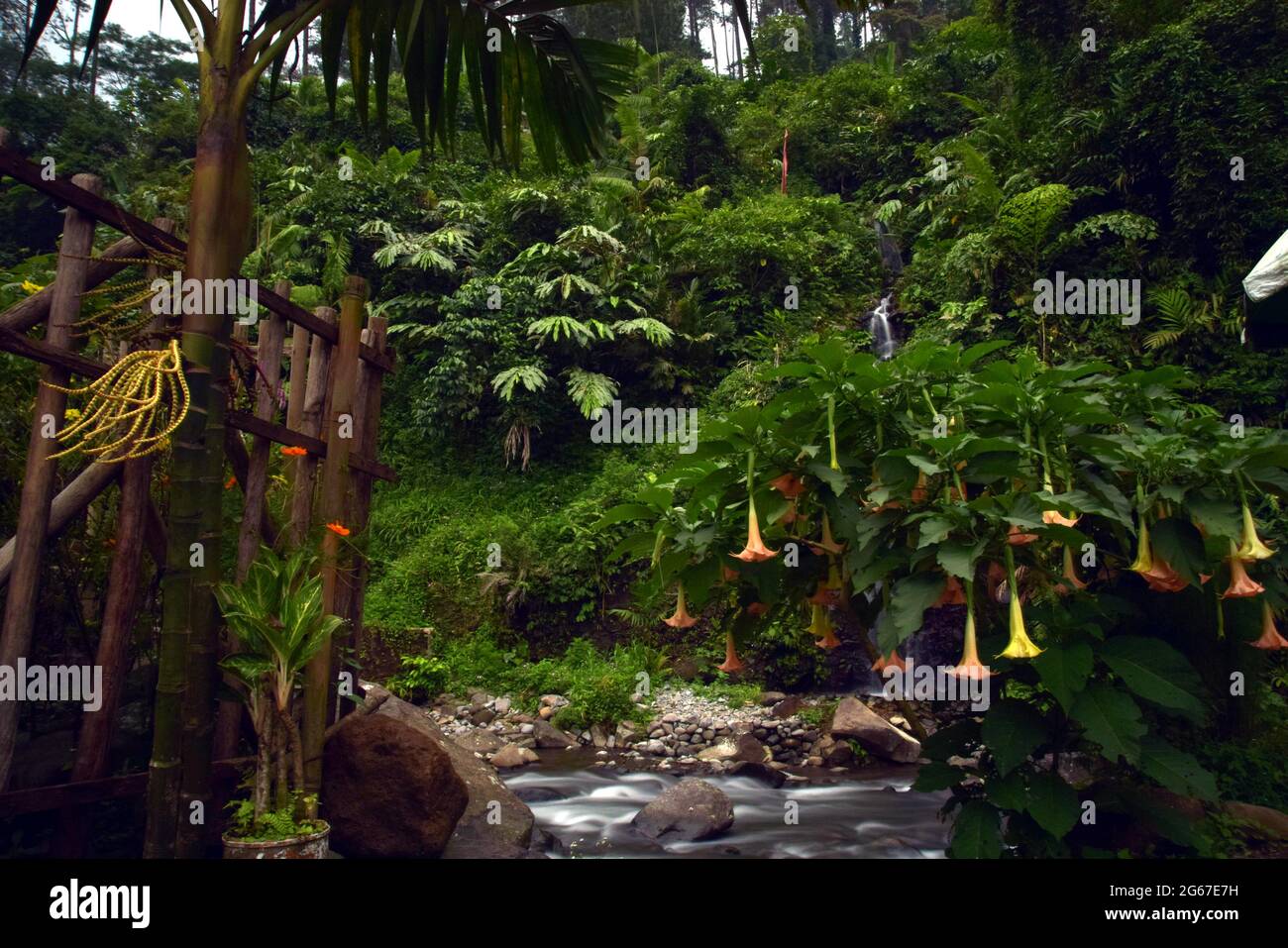river under jungle Stock Photo - Alamy