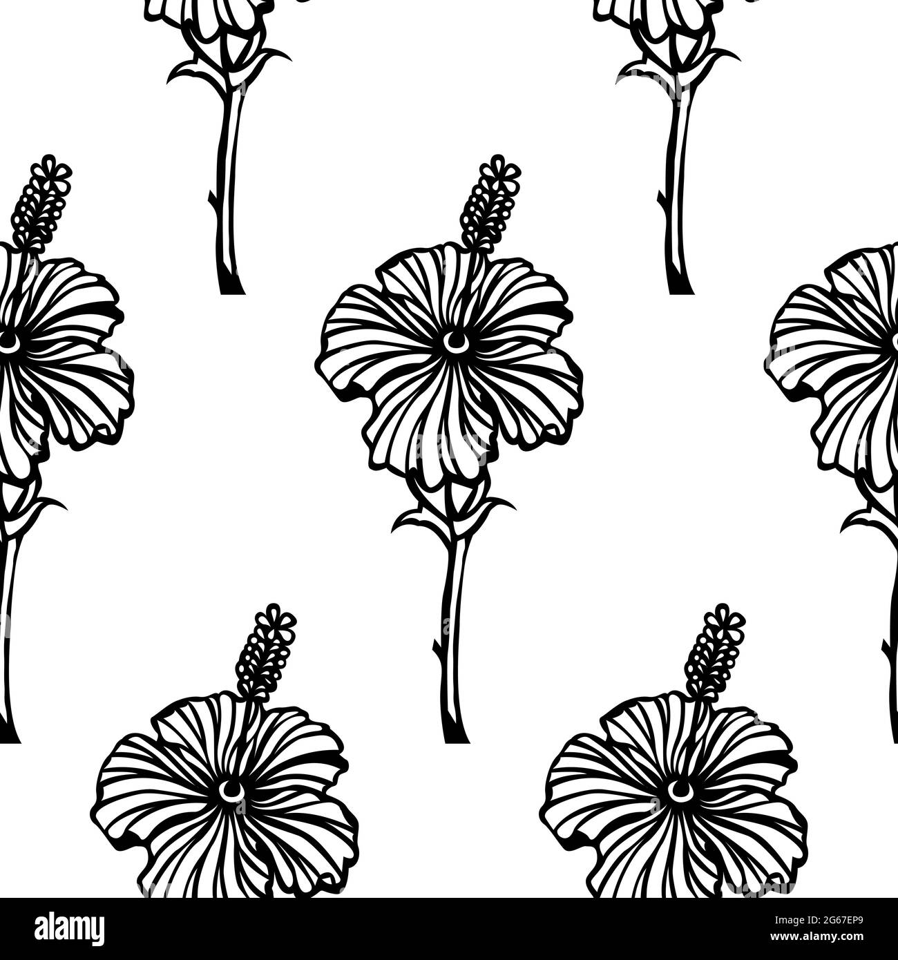 Hibiscus flower vector hi-res stock photography and images - Alamy