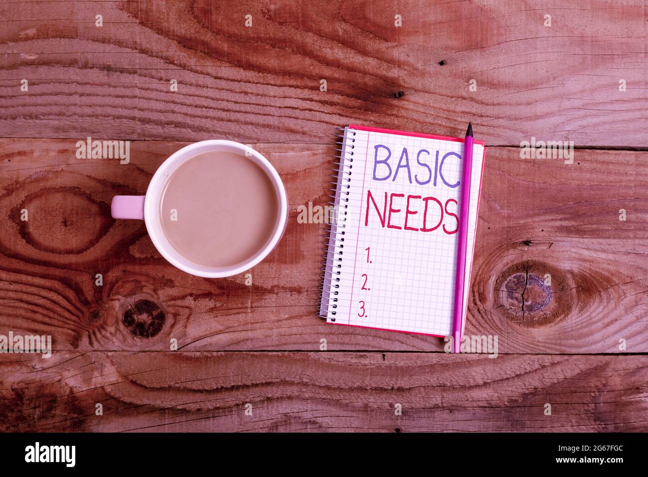 Text sign showing Basic Needs. Business overview necessary to sustain ...