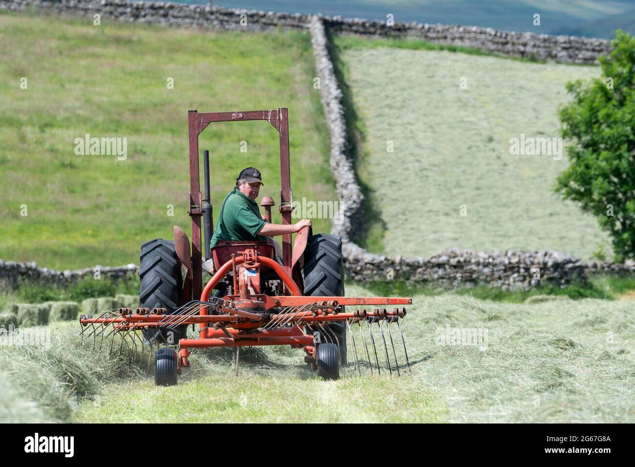 Farmer on a 1963 Massey Ferguson 35, rowing up hay ready to be baled ...