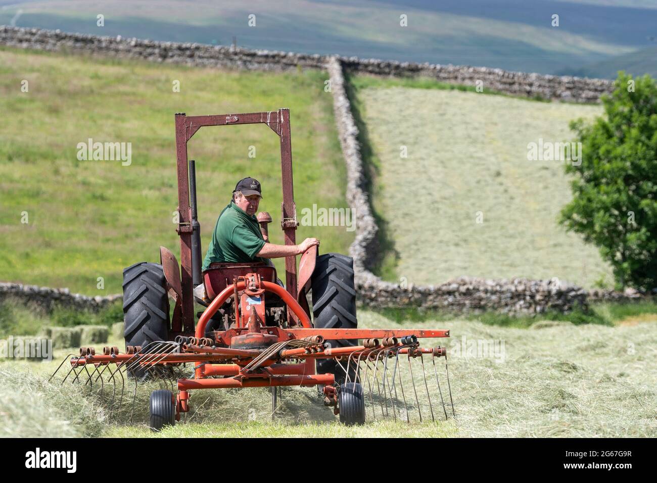 Farmer on a 1963 Massey Ferguson 35, rowing up hay ready to be baled ...