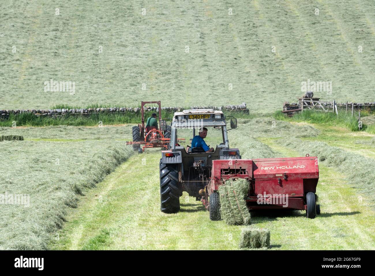 Baling small bales of Hay with a New Holland baler and a Massey Ferguson tractor in a meadow ...