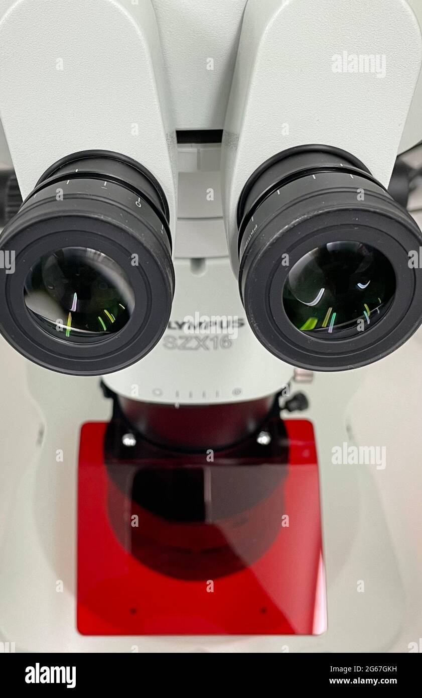 Ocular Investigation High Resolution Stock Photography and Images - Alamy