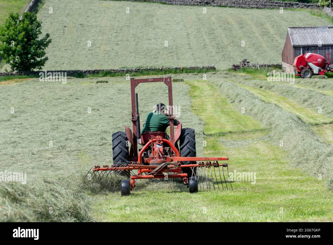 Farmer on a 1963 Massey Ferguson 35, rowing up hay ready to be baled ...