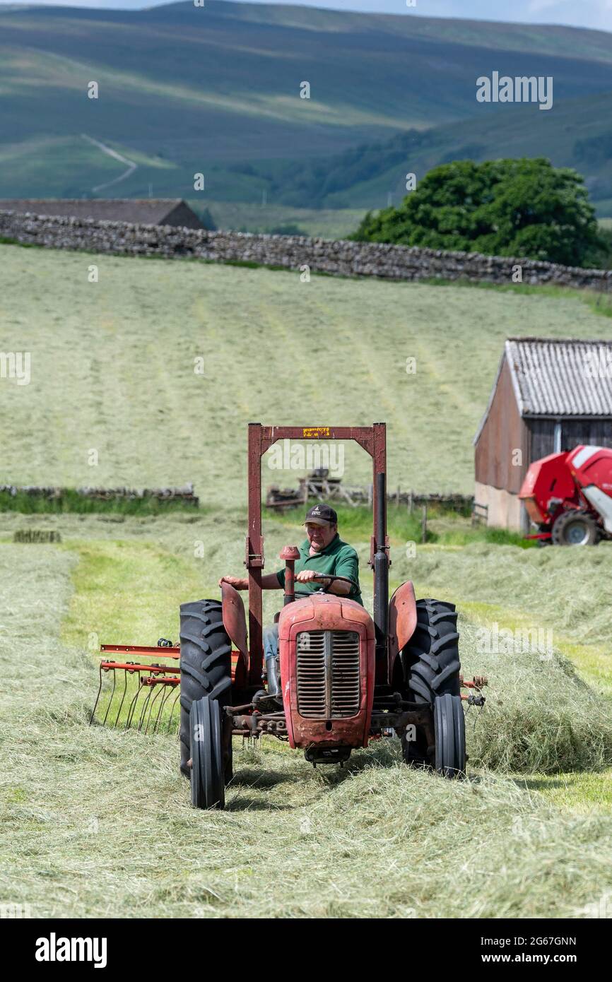 Farmer on a 1963 Massey Ferguson 35, rowing up hay ready to be baled ...