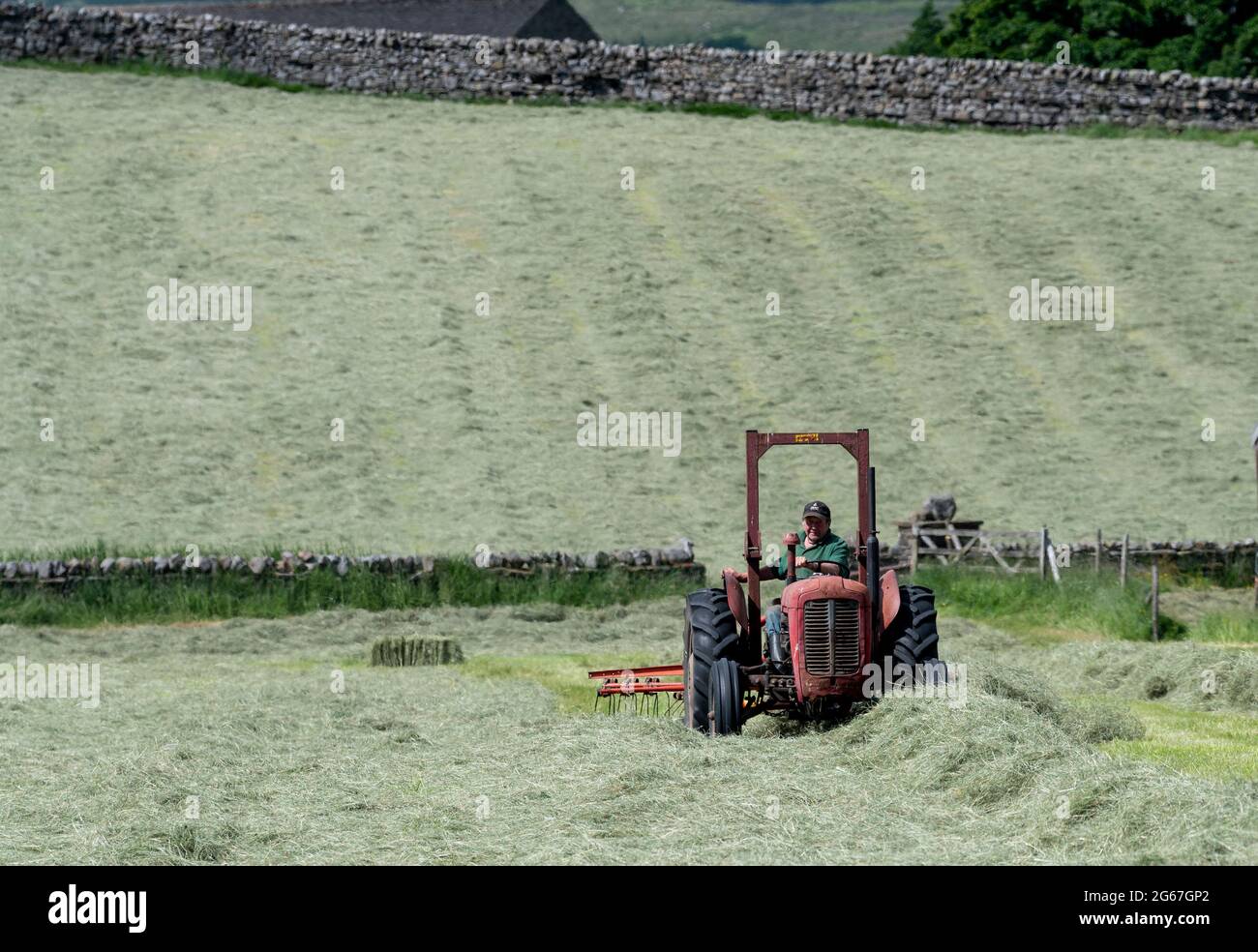 Farmer on a 1963 Massey Ferguson 35, rowing up hay ready to be baled ...