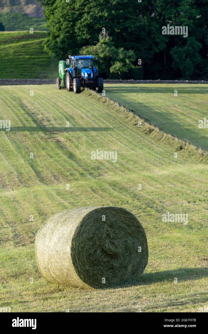 Farmer making big round bales of haylage with a New Holland TS135 ...