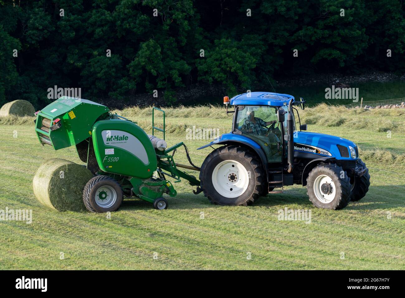 Farmer making big round bales of haylage with a New Holland TS135 ...